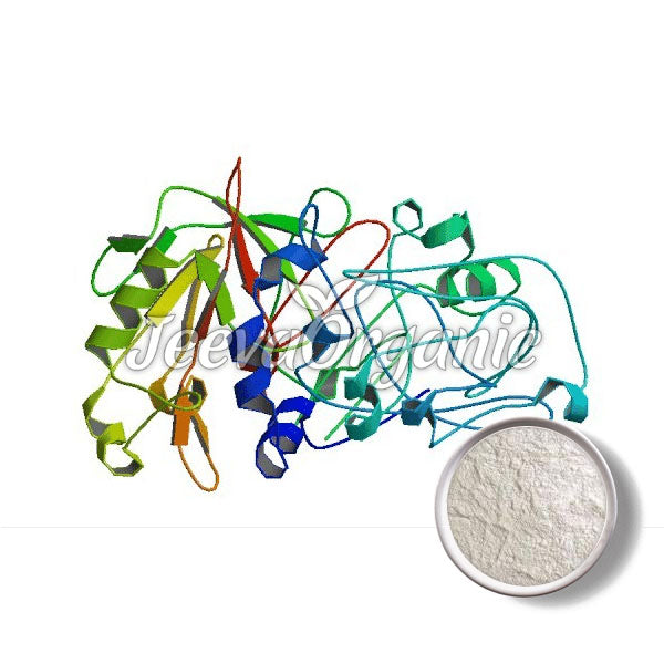 Bulk Pepsin Powder 5000 SAPU/gm Supplier