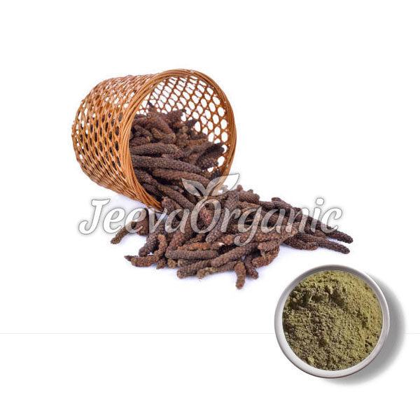Bulk Piper Longum Powder Supplier