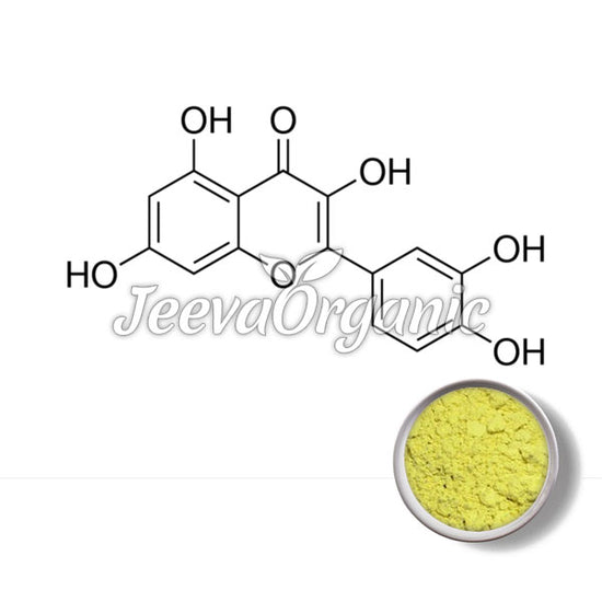 Bulk Quercetin Dihydrate Extract Powder 95% Supplier