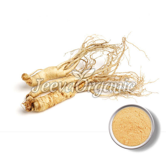 Bulk Red Ginseng Powder Supplier