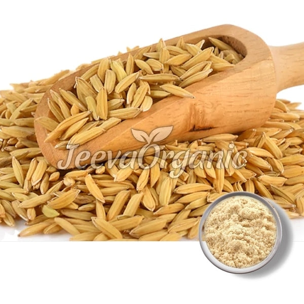 Bulk Rice Bran Powder Supplier