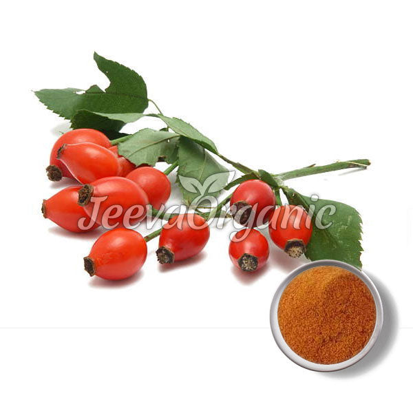 Bulk Rose Hips Powder Supplier