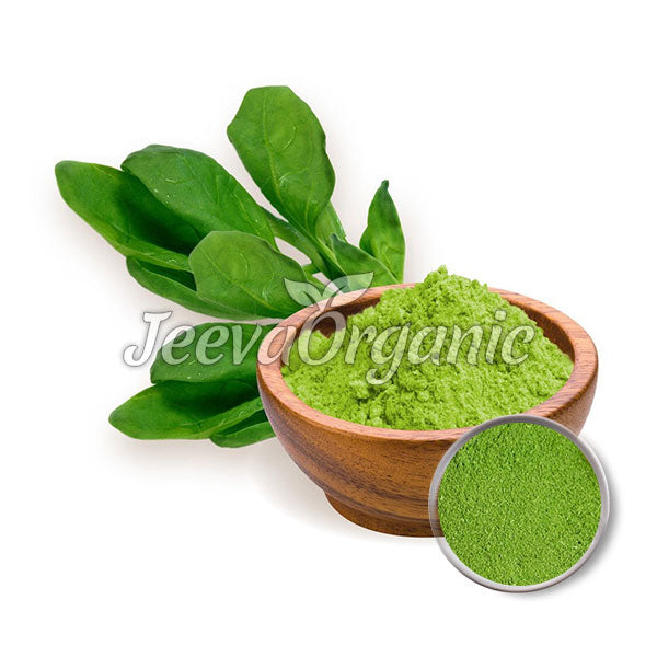 Top Spinach Powder Suppliers in Bulk