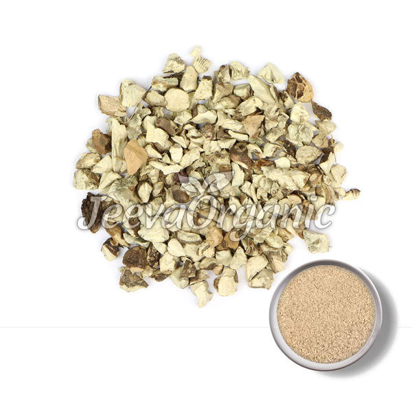 Top Stone Root Powder Supplier | Bulk Stone Root Powder Supplier