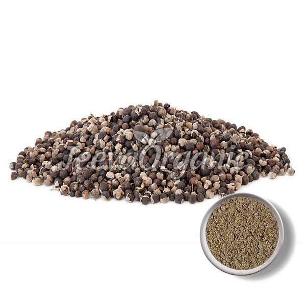 Top Vitex Berries Powder Suppliers | Bulk Vitex Berries Powder Supplier