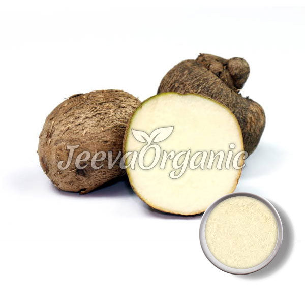 Wild Yam Powder Supplier - Pure Dioscorea Root Powder