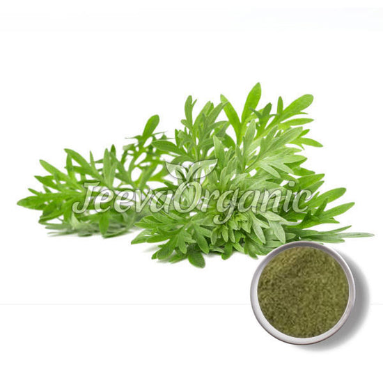 Wormwood Powder Supplier - Premium Grade Bulk Supply