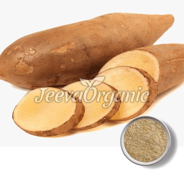 Best Yacon Powder Supplier | Bulk Yacon Powder Supplier