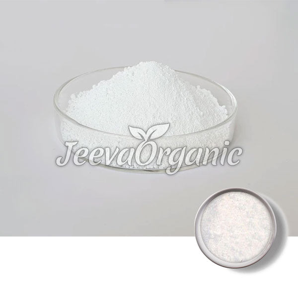 Zinc Oxide Powder Supplier - Trusted Bulk ZnO Source