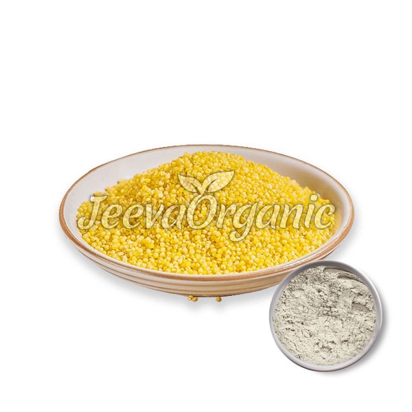 Bulk Pearl Millet Powder Supplier